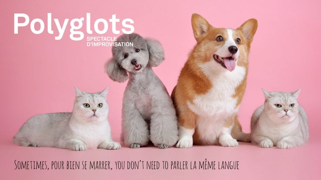 Polyglots - Multilingual Improv Comedy